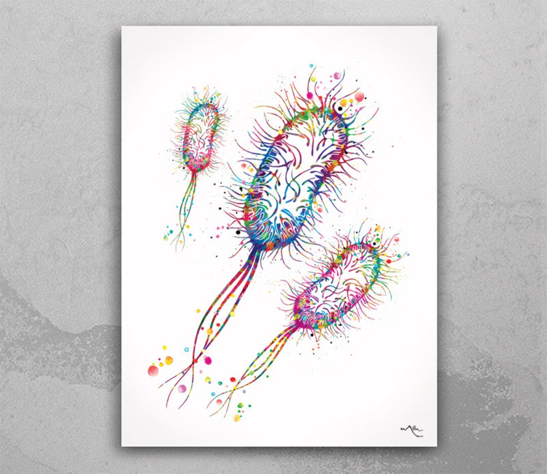 Escherichia Coli Watercolor Print Medical Art E Coli Microbiologist ...