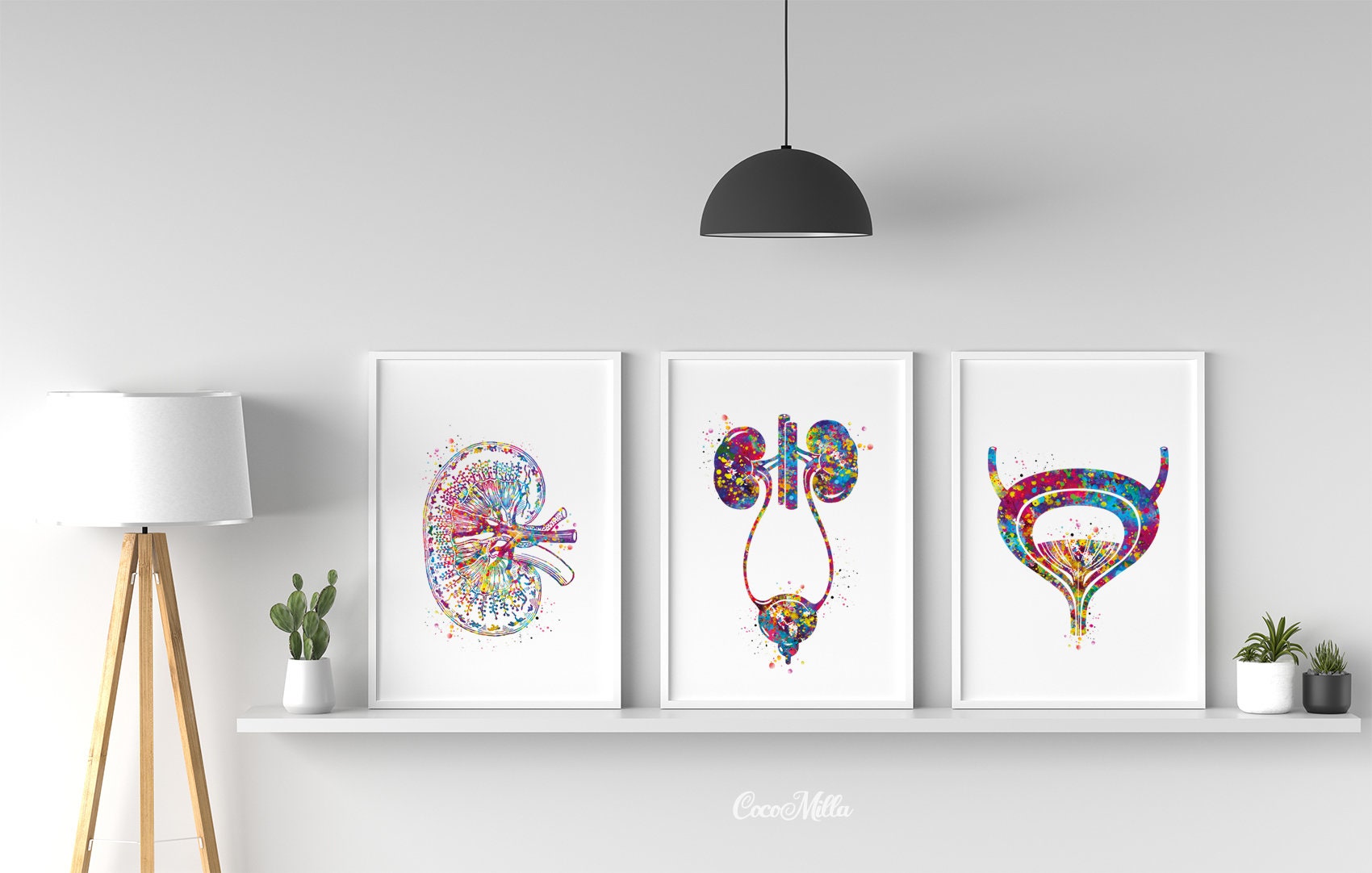 Urology Art Watercolor Print Set of 3 Office Clinic Urinary | Etsy