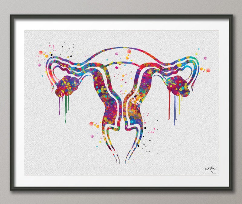 Uterus Watercolor Print Human Organs Gynecology Anatomical Art | Etsy