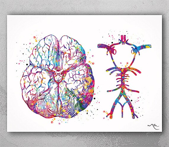 Neuroscience Brain Art