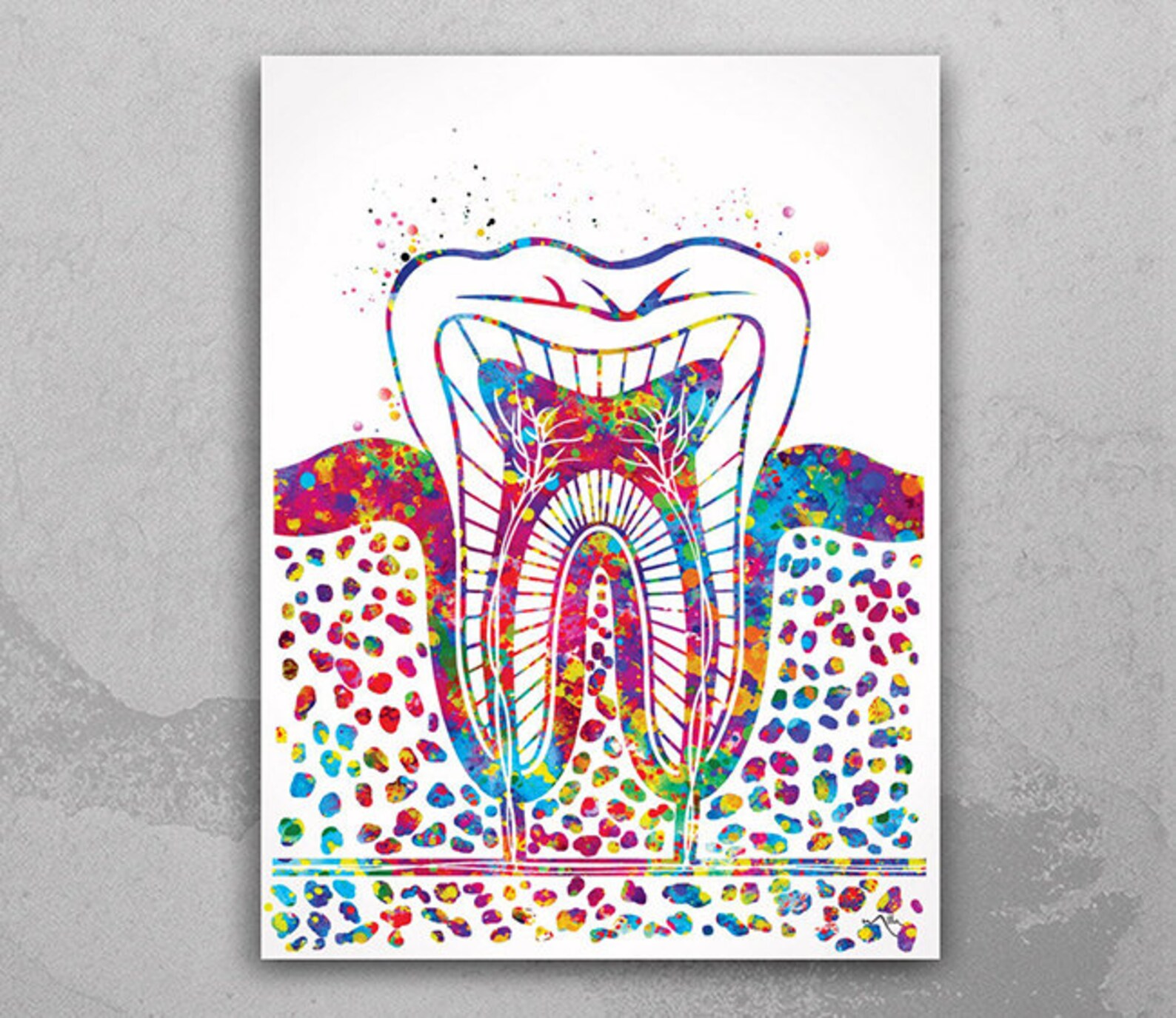 Molar Tooth Watercolor Print Tooth Anatomical Art Dental | Etsy