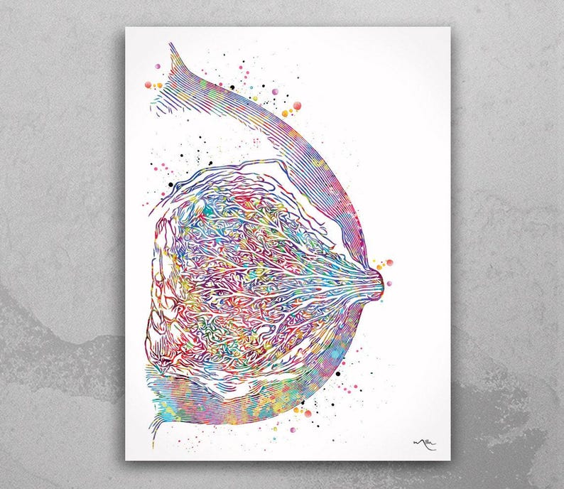 Breast Anatomy Watercolor Print, Medical Art Decor-1766 - Etsy