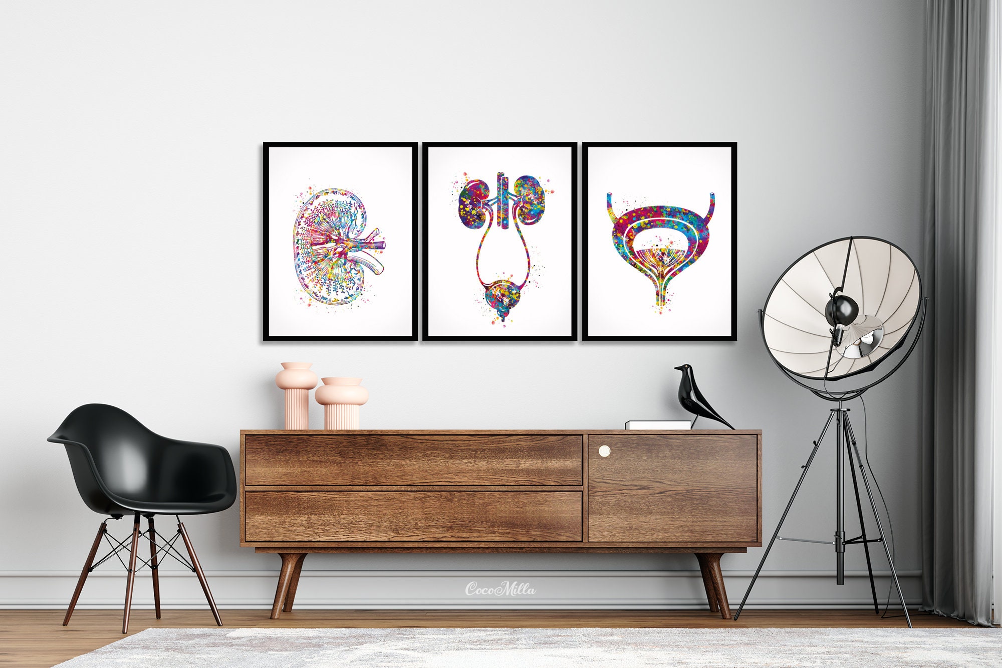 Urology Art Watercolor Print Set of 3 Office Clinic Urinary | Etsy