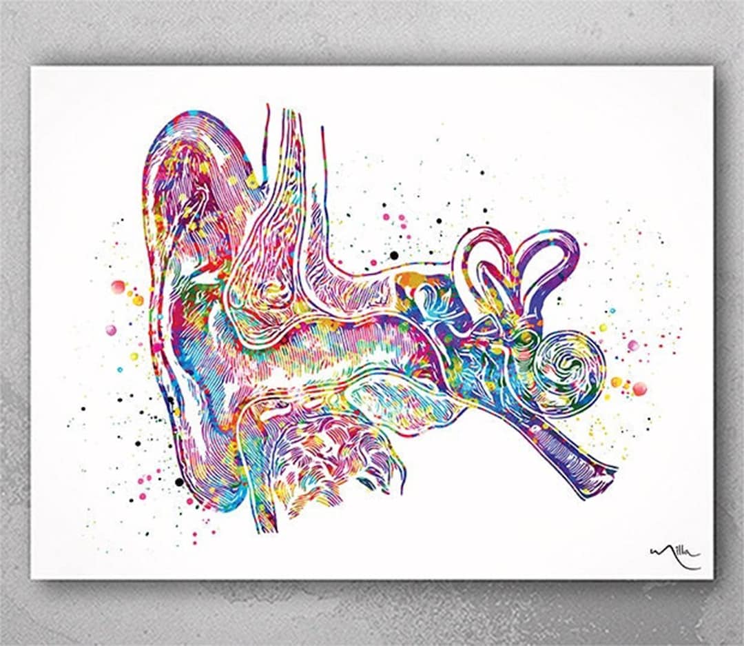 Ear Anatomy Watercolor Print Audiologist Gift Audiology Poster Science ...