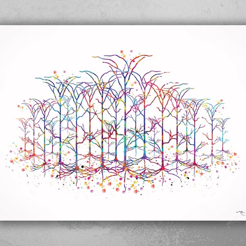 Neural Connections Watercolor Print Abstract Medical Art - Etsy