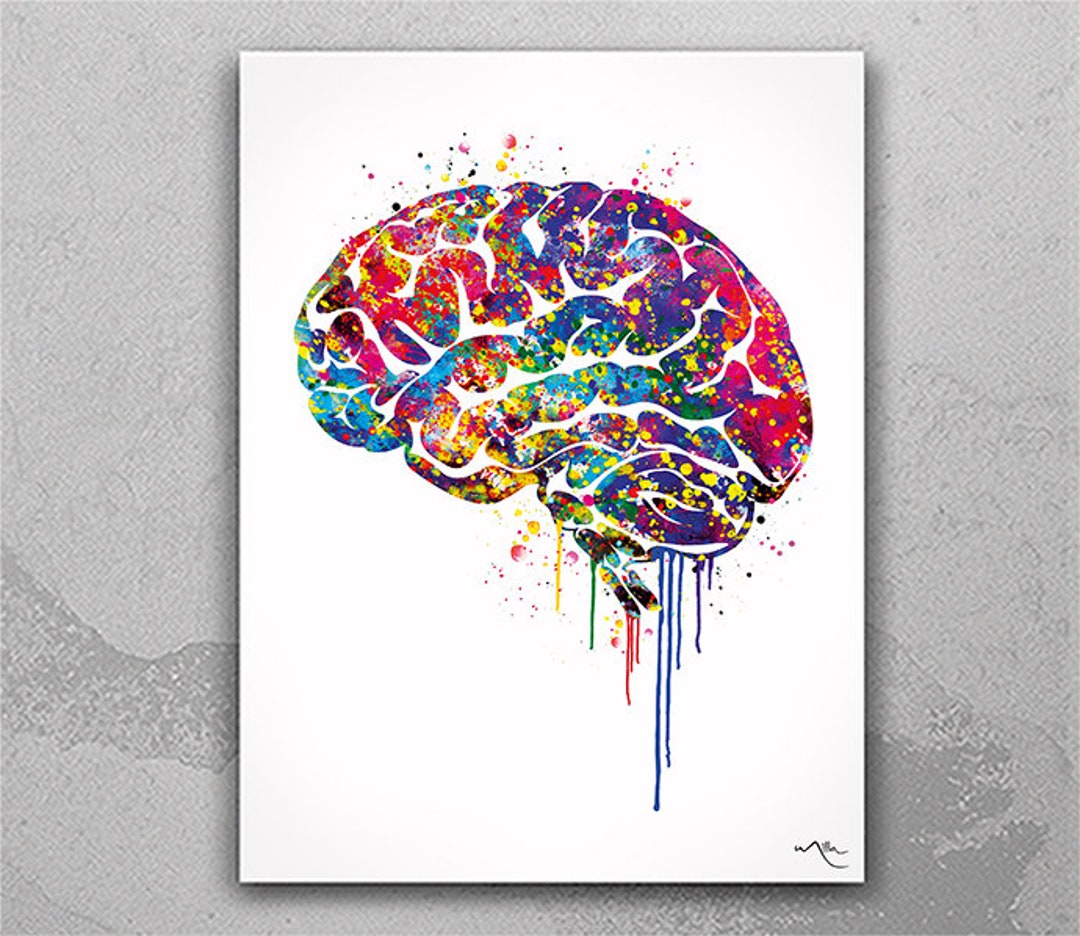 Brain Anatomy Watercolor Print Medical Art Science Art Wall Decor Wall ...