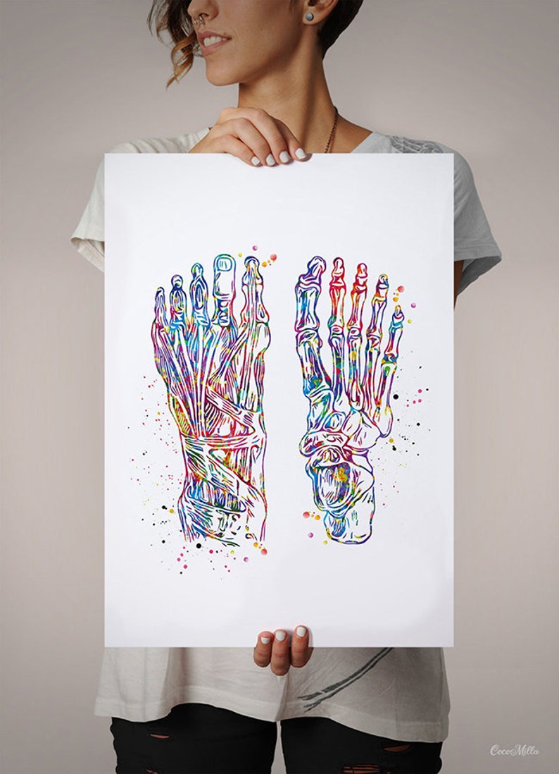 Foot Anatomy Watercolor Print Skeletal Feet Muscles Medical - Etsy