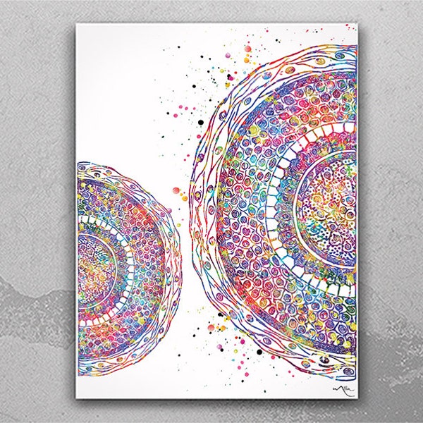 Human Cell Art - Etsy