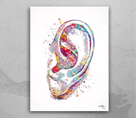 Blank Human Ear Diagram
