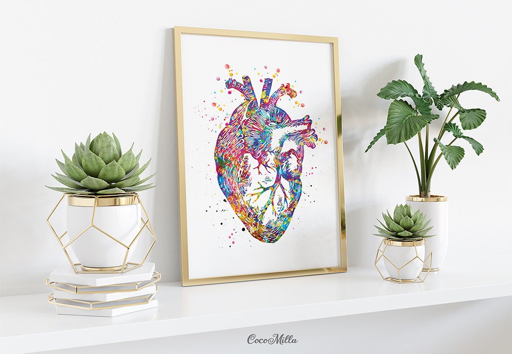 Heart Anatomy Watercolor Print Cardiology Decor Medical Art | Etsy