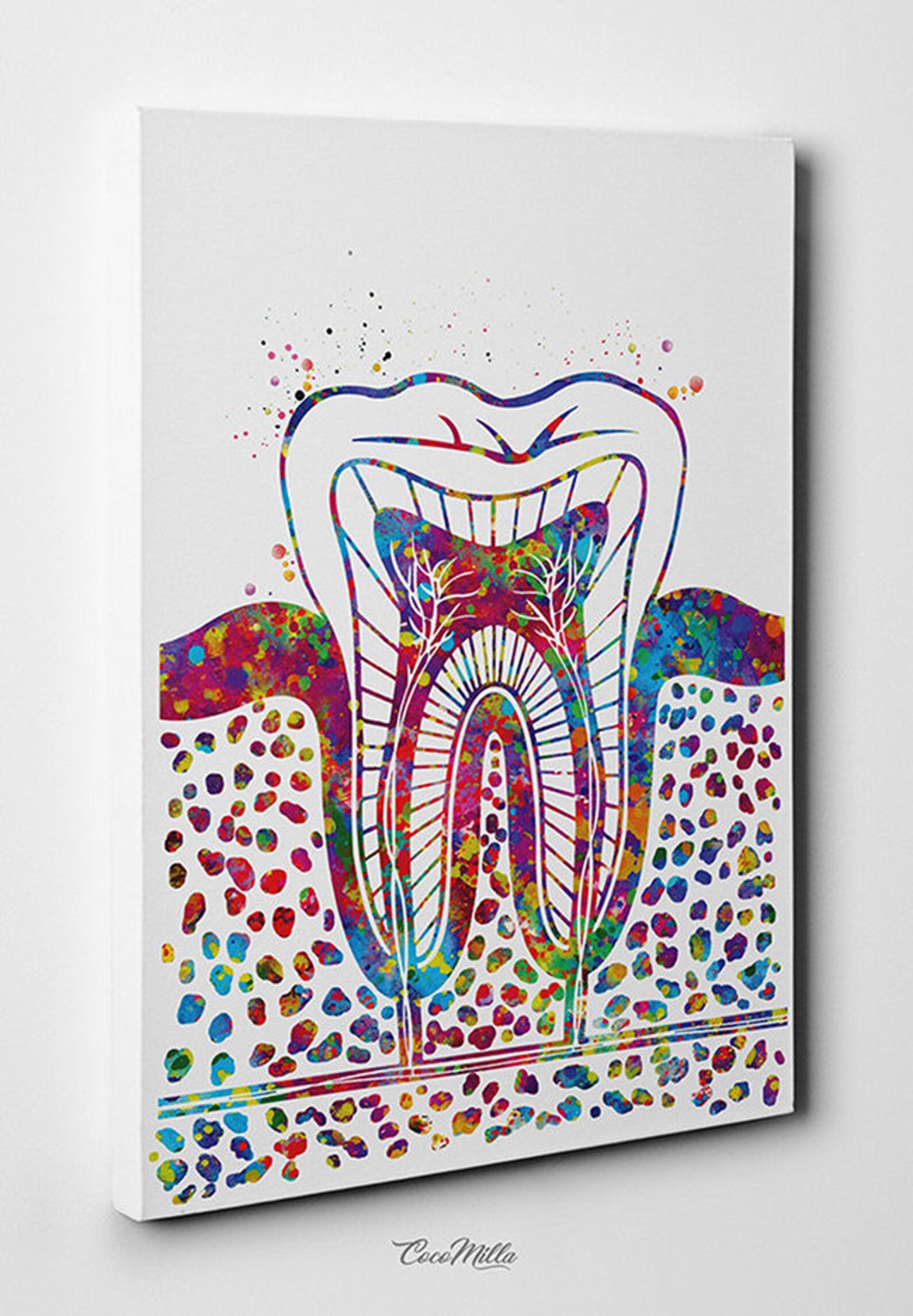 Molar Tooth Watercolor Print Tooth Anatomical Art Dental | Etsy