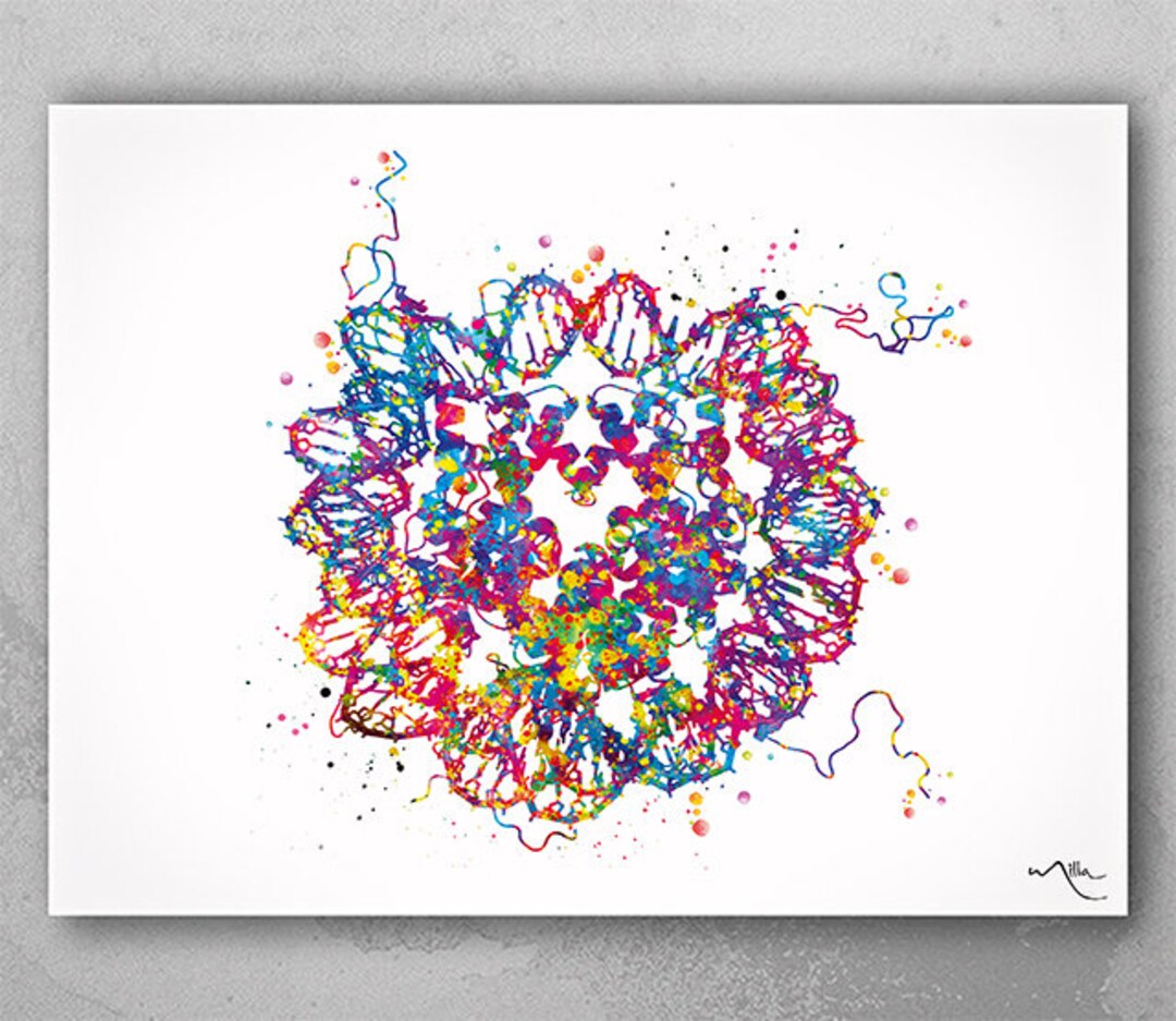 DNA Crystal Structure of Nucleosome Watercolor Print Genome - Etsy