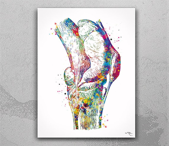 Knee Anatomy Art Watercolor Print Orthopedic Surgeon Gift | Etsy UK