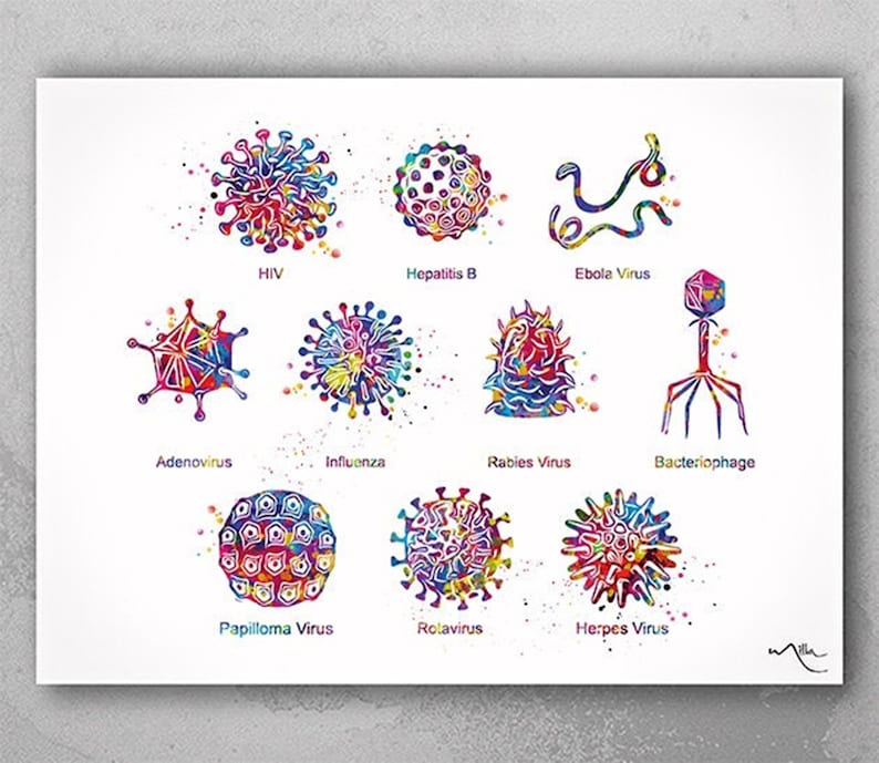 Viruses Watercolor Print | Microbiology, Bioscience Wall Art - Etsy