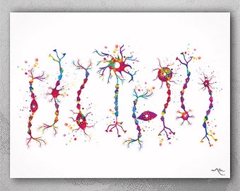 Synapse Receptor Watercolor Print Science Poster Neurology Art ...