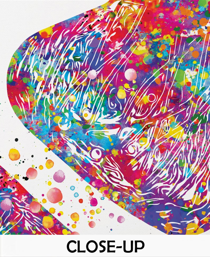 Synapse Receptor Watercolor Print Science Poster Neurology Art - Etsy