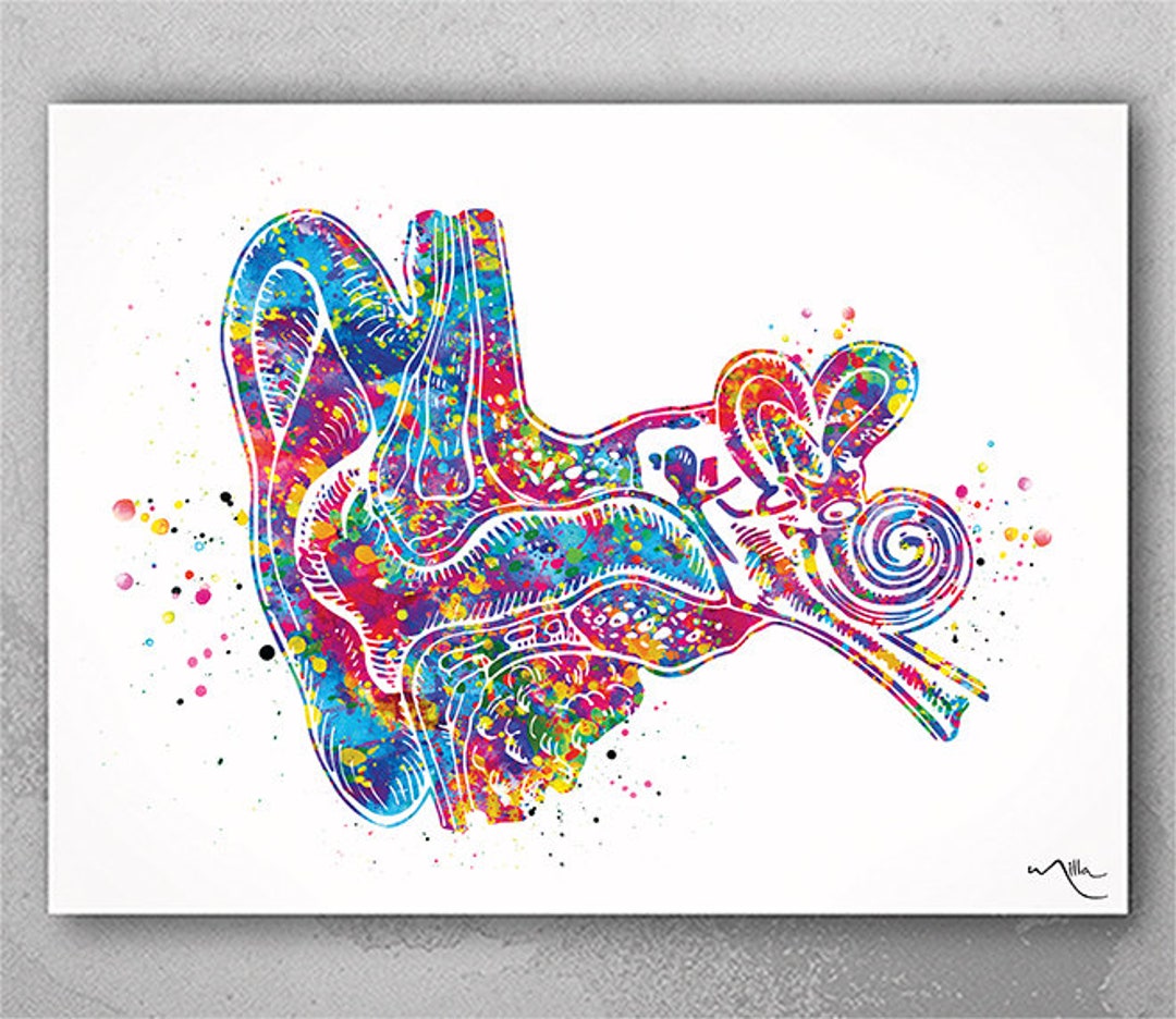 Ear Anatomy Watercolor Print Audiologist Gift Audiology Poster Science ...