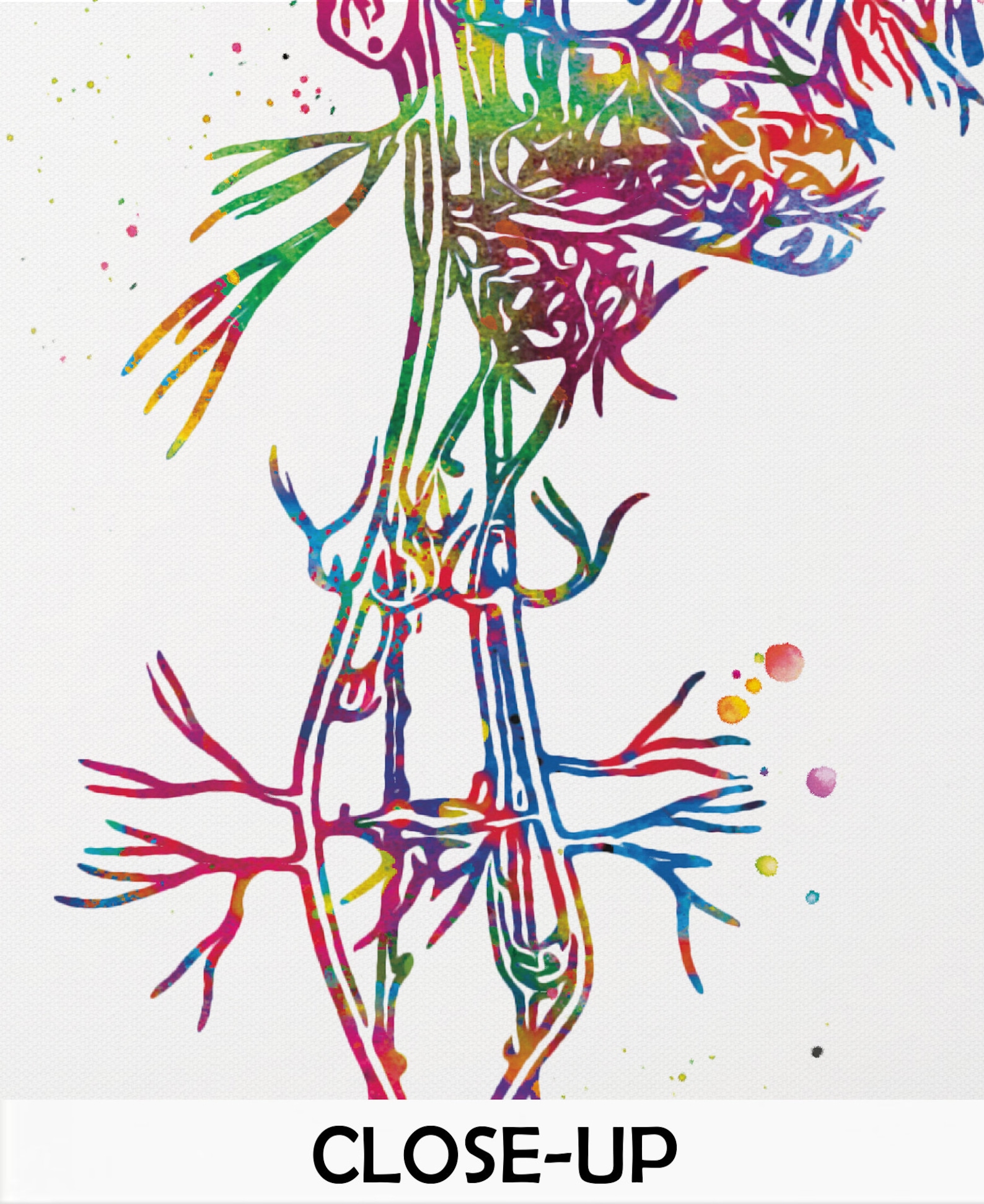 Vagus Nerve Watercolor Print, Medical Neurology Art-2489 - Etsy