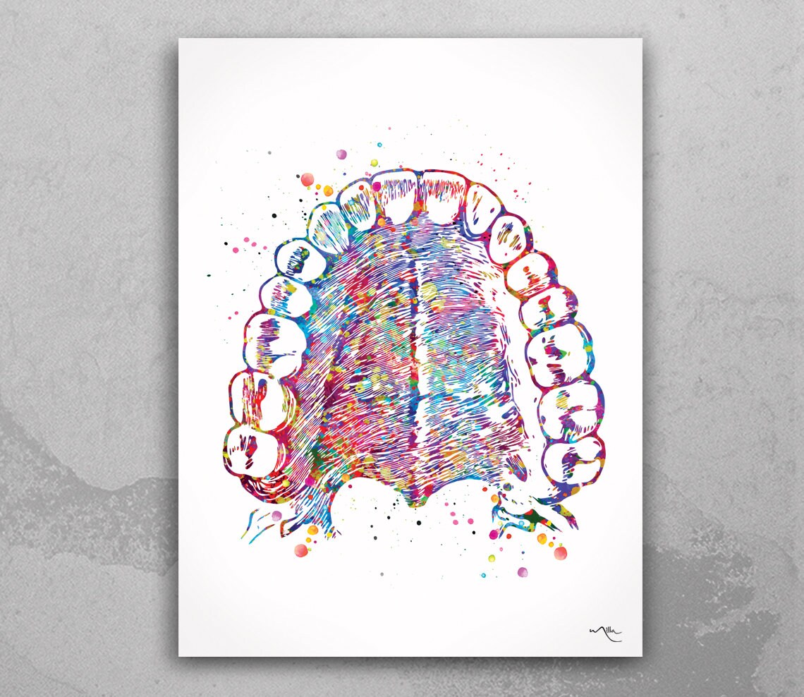 Tooth Anatomy and Palate Watercolor Print Medical Art Tooth | Etsy