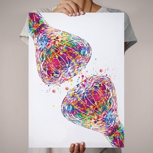 Synapse Receptor Watercolor Print Science Poster Neurology Art - Etsy