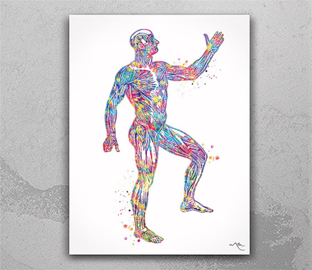 Muscular System Anatomy Watercolor Print Orthopedic Knee Ankle and Foot ...