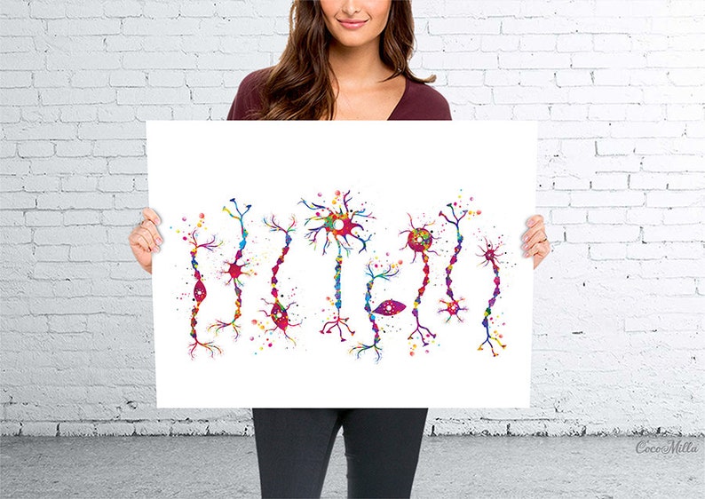 Neuron Types Art Watercolor Print Science Poster Neurology - Etsy