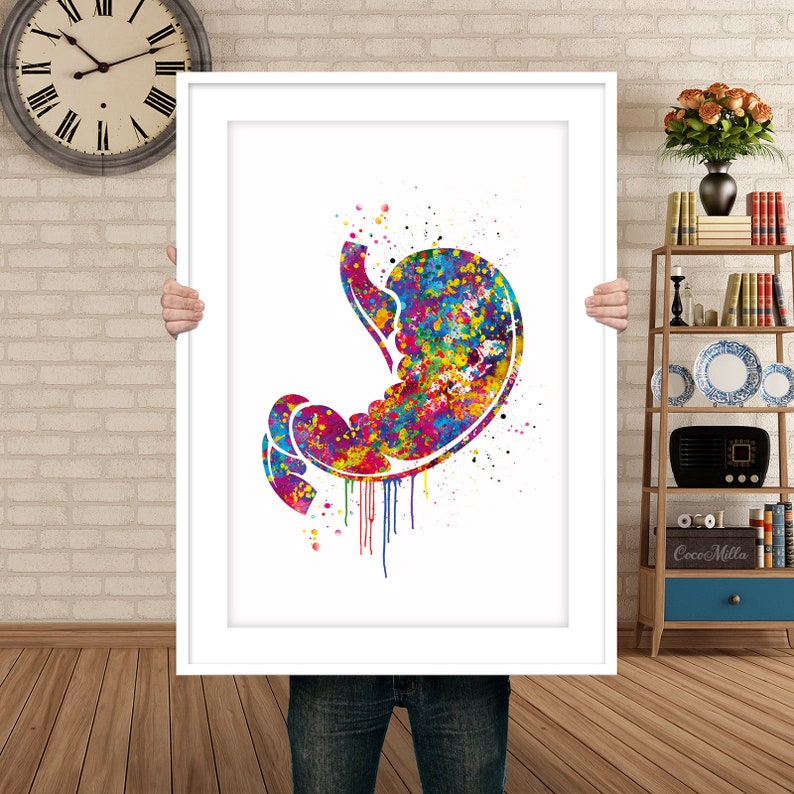 Stomach Watercolor Print Human Organs Gastrointestinal Clinic | Etsy