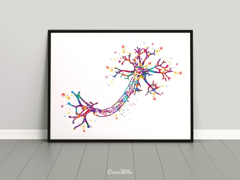 Nerve Cell Watercolor Print Science Poster Neurology Art Nerve - Etsy