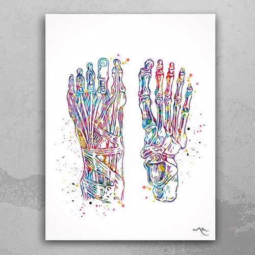 Foot Anatomy Posters Podiatry Art Medical Decor Muscles and - Etsy