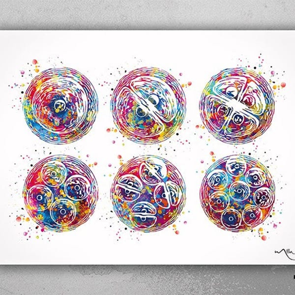 Human Cell Art - Etsy