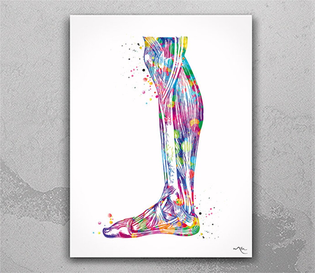 Human Leg Anatomy Watercolor Print Orthopedic Knee Ankle and Foot ...