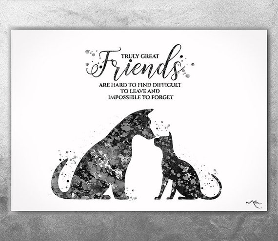 Dog And Cat Friendship Quotes