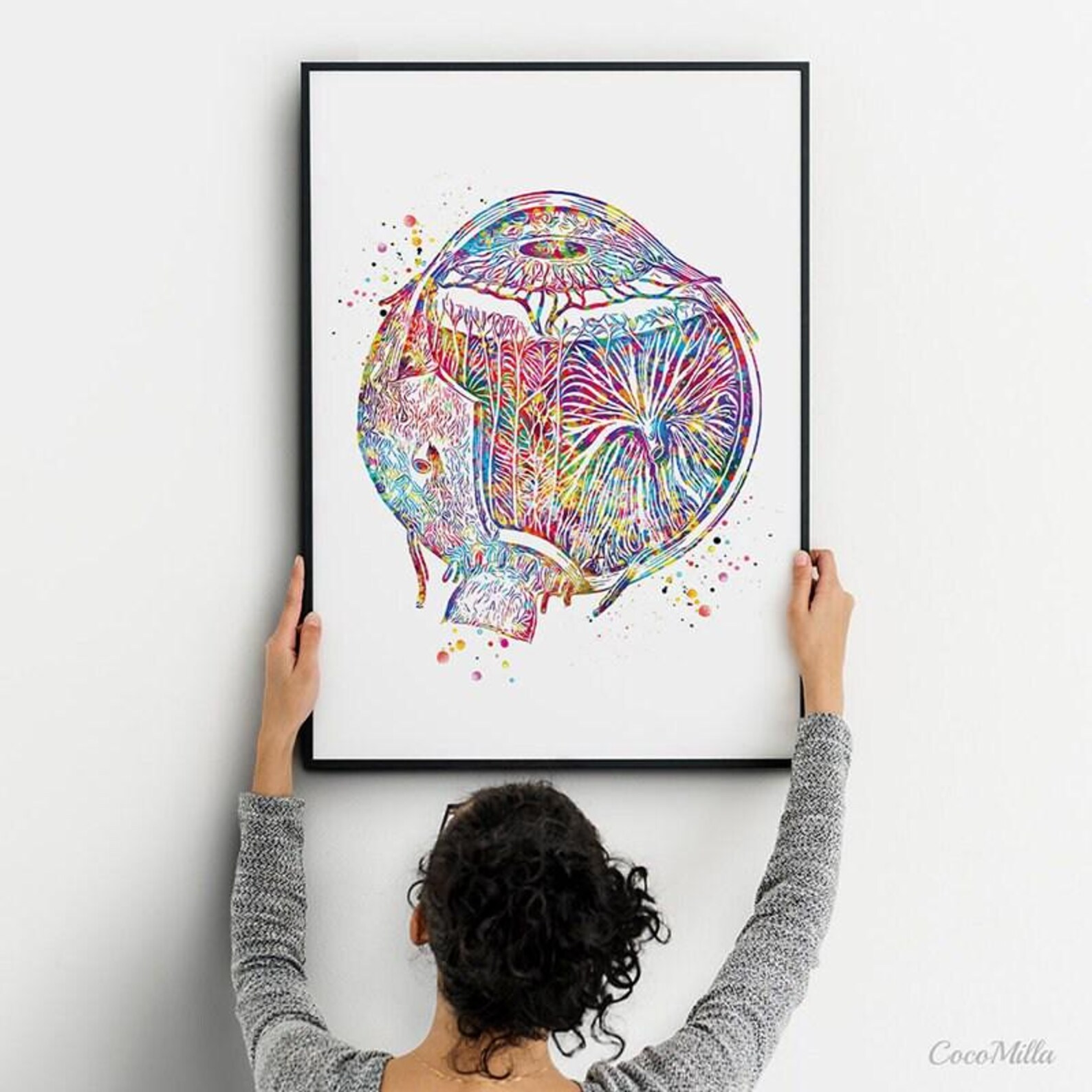 Eye Anatomy Watercolor Print Human Eye Optometrist Optician Poster ...