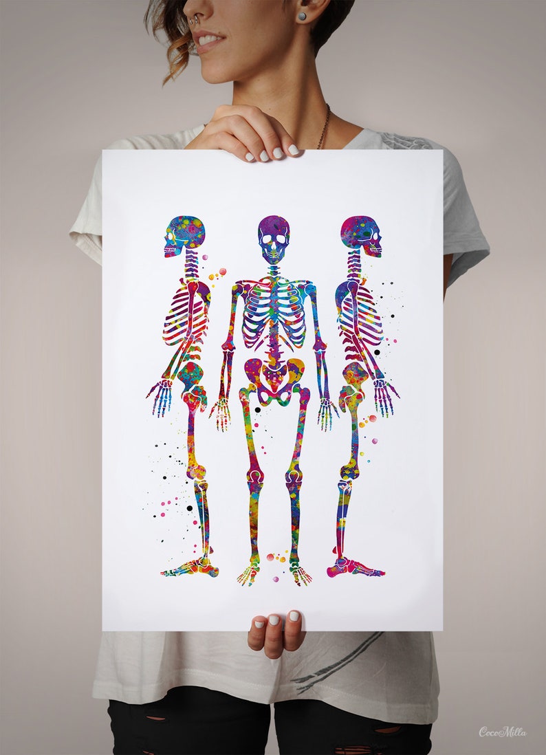 Human Skeletons Watercolor Print Human Anatomy Wall Art Poster | Etsy