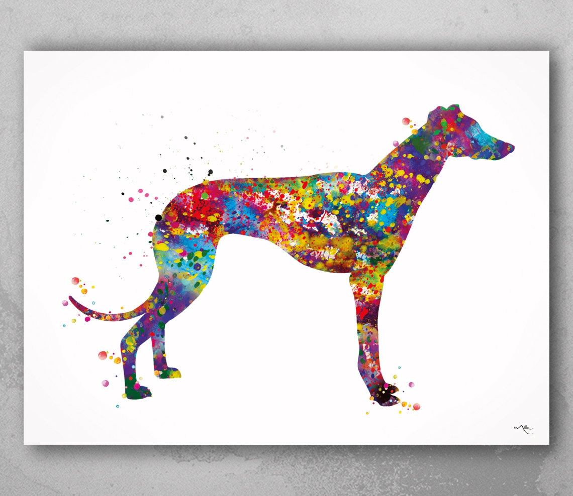 Greyhound Painting Greyhound Watercolor Greyhound Print - Etsy