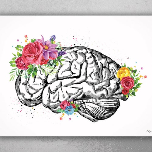 Brain Anatomy Flowers Cerebrum Floral Watercolor Print Medical - Etsy