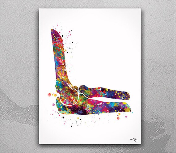 Elbow Joint Watercolor Print Human Body Anatomy Art - Etsy