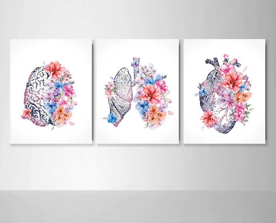 Human Brain Heart Lungs Set of 3 Watercolor Prints Medicine Nurse ...