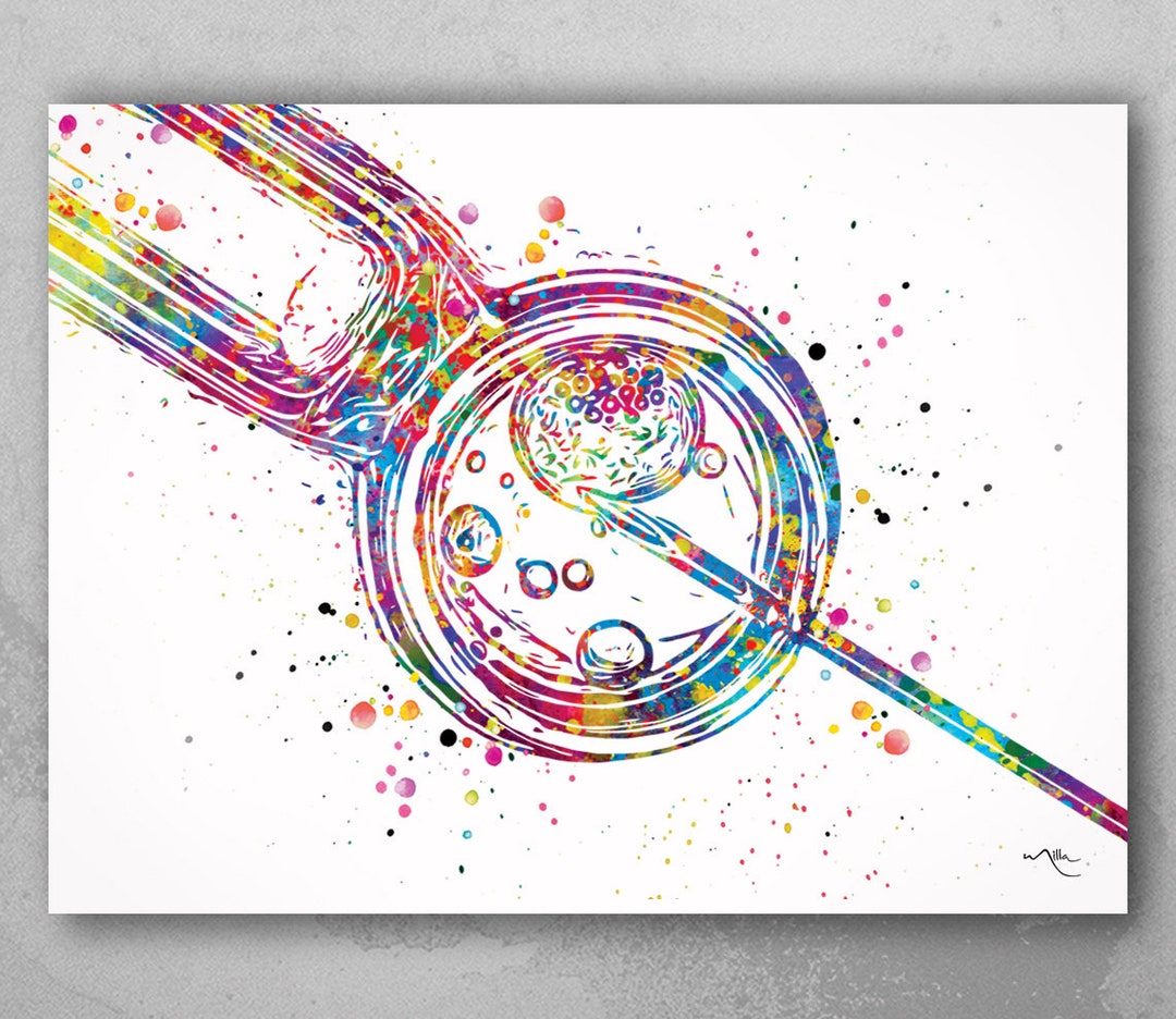 IVF Art Watercolor Print Embryonic Art Gynecology Medical Art in Vitro ...