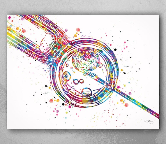 IVF Art Watercolor Print Embryonic Art Gynecology Medical Art | Etsy