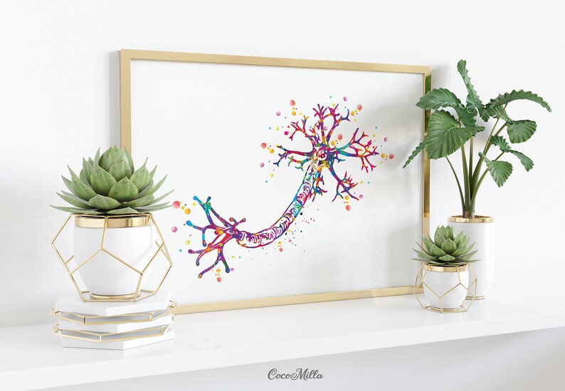 Nerve Cell Watercolor Print Science Poster Neurology Art Nerve - Etsy