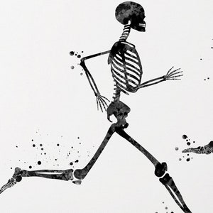 Skeleton Running Phases Watercolor Print Skeletal System Poster Clinic ...
