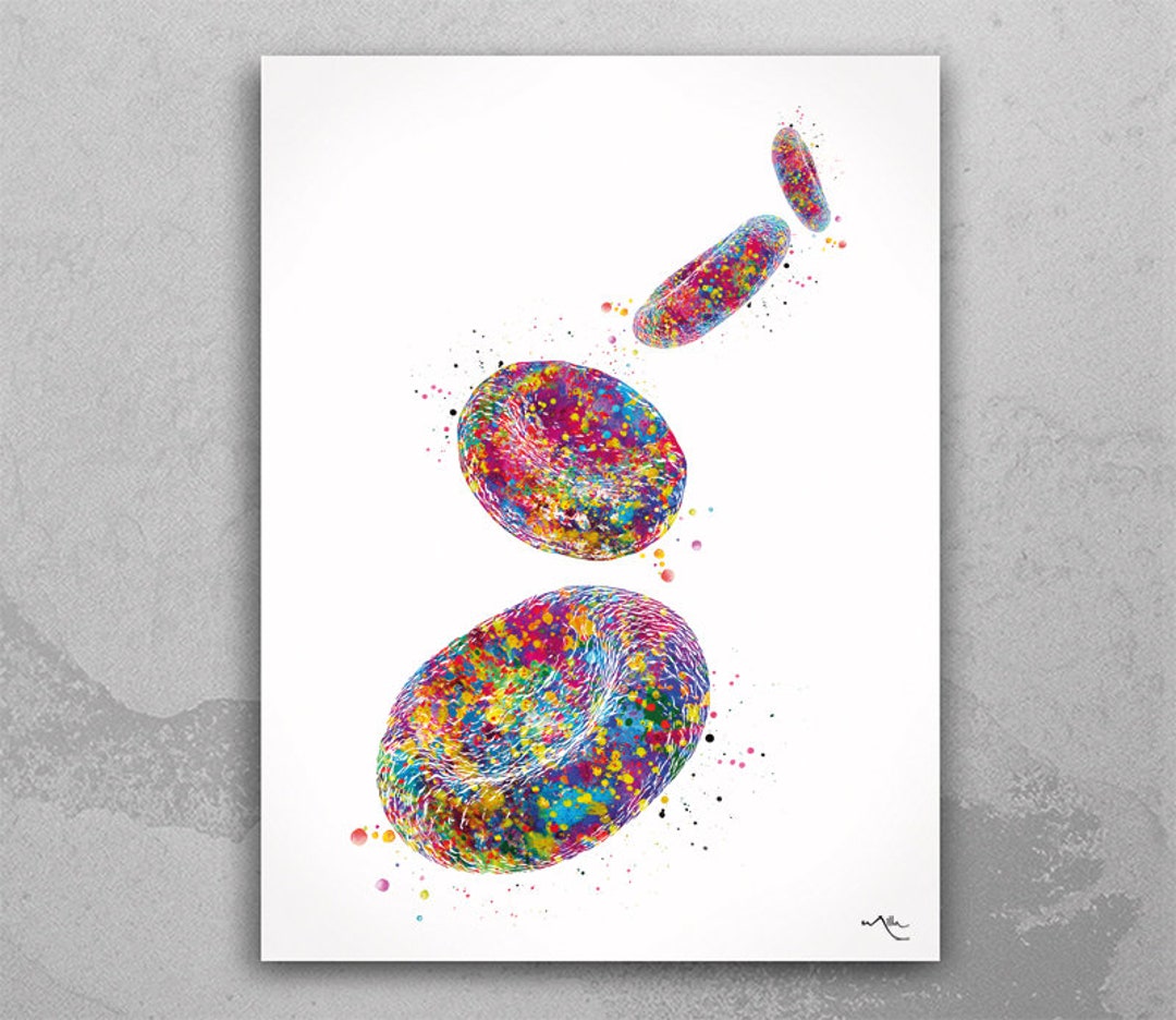 Red Blood Cells Watercolor Print Blood Histology Science Haematology ...