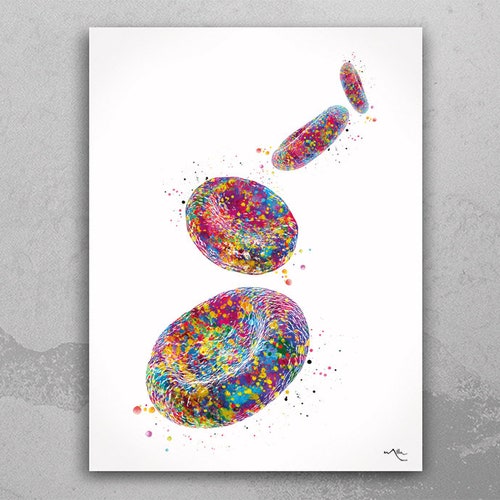 Blood Cells Biology Poster Science Art Print Red Blood - Etsy