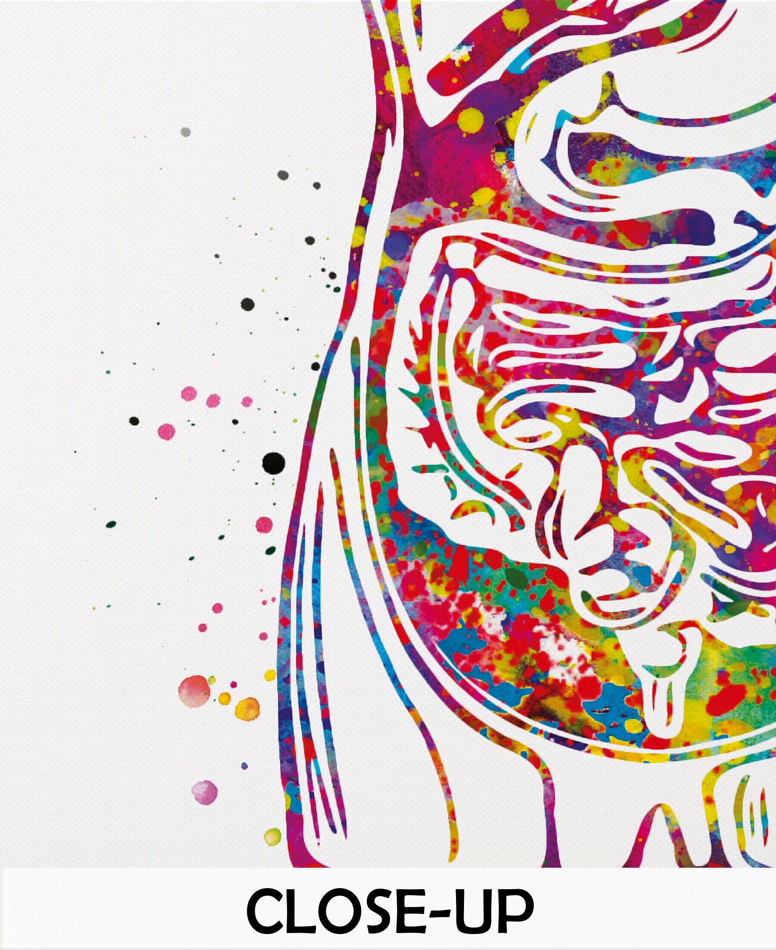 Human Body Internal Organs Watercolor Print Anatomy Wall Art - Etsy Canada