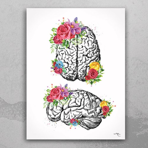 Brain Anatomy Flowers Cerebrum Floral Watercolor Print Medical - Etsy