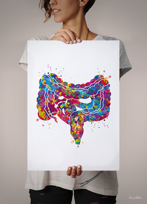 Intestine Art Watercolor Print Digestive System Large and - Etsy UK