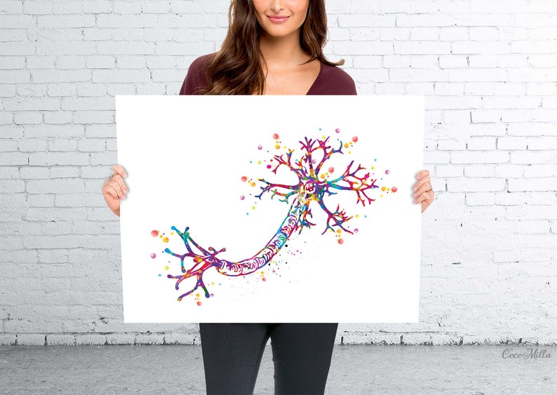 Nerve Cell Watercolor Print Science Poster Neurology Art Nerve - Etsy