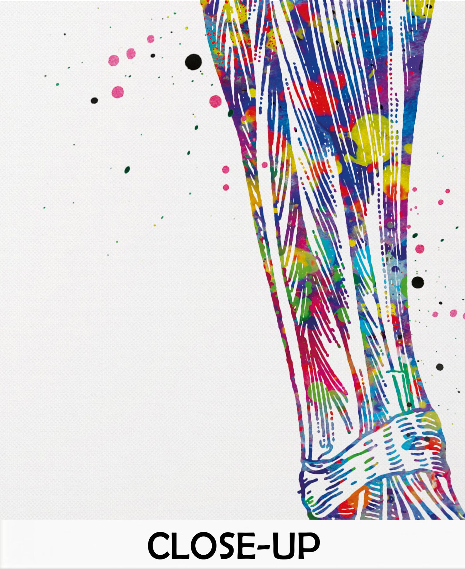 Leg Anatomy Watercolor Print Orthopedic Knee Ankle and Foot - Etsy