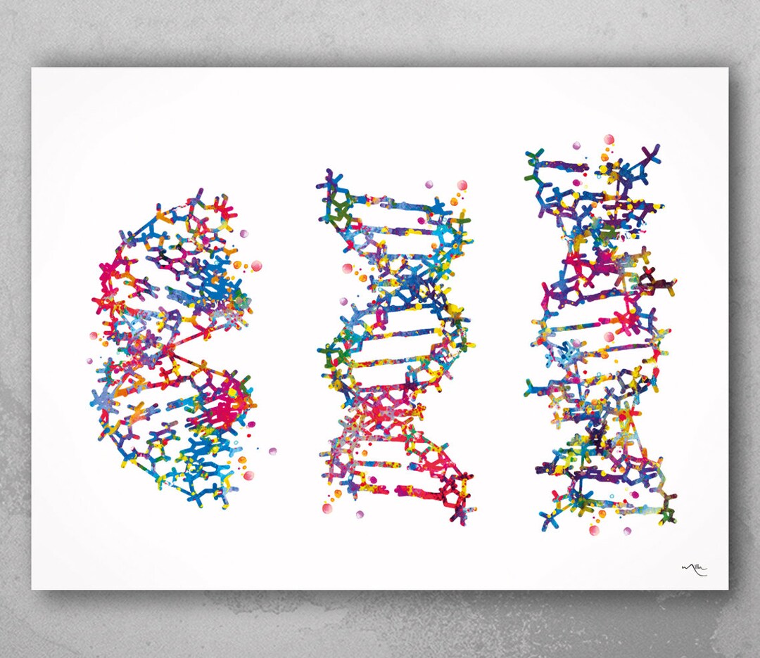 DNA Molecule Watercolor Painting Print Medical Wall Art Nurse Gift ...